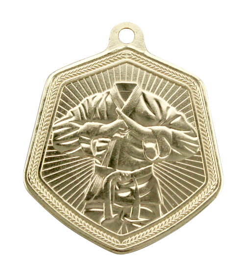 Martial Art Falcon Medals - MS2110 - (v) | TrophyCentre
