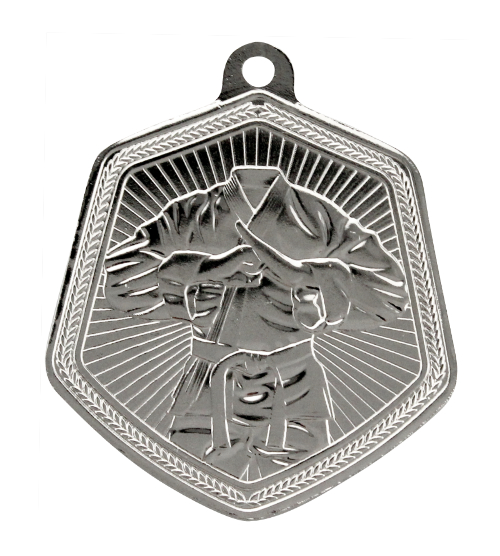 Martial Art Falcon Medals - MS2110 - (v) | TrophyCentre